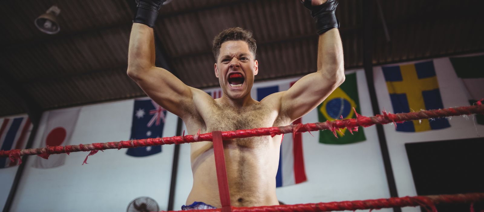 Hoe bokser worden in België? Verdiensten en kansen – Combat Arena